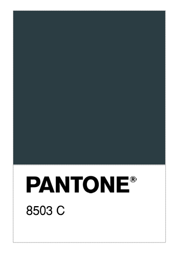 Colore PANTONE® 8503 C - Numerosamente.it Colore PANTONE® 8503 C - Numerosamente.it